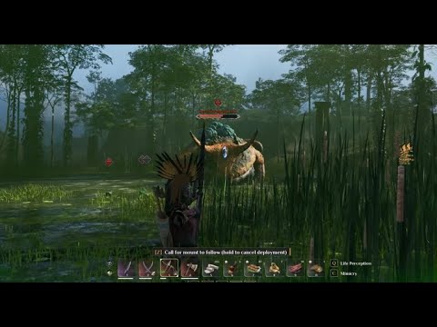 SOULMASK | Berserk Fogfrog | SOLO KILL | BLEED BUILD | Official PvP - YouTube