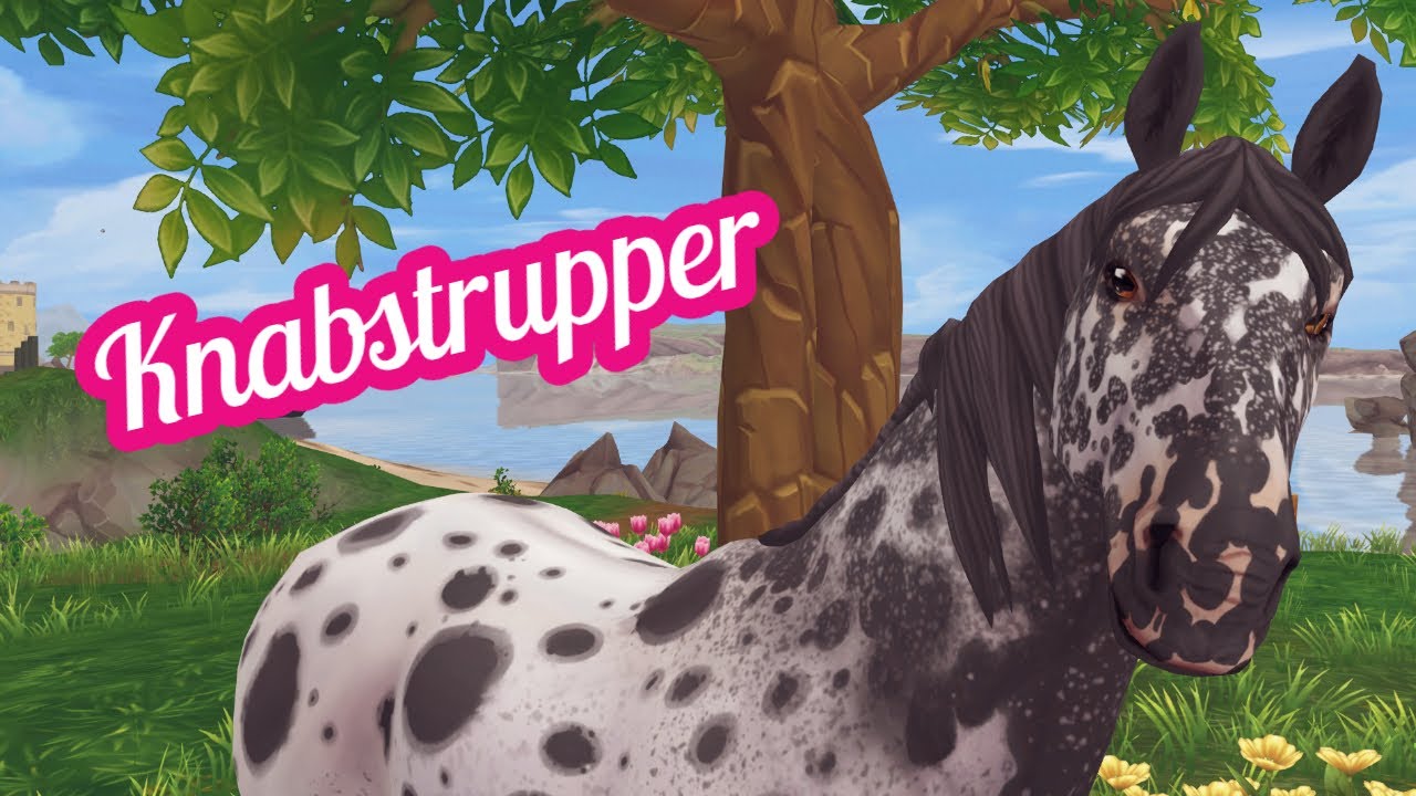 SSO - Buying The NEW Knabstrupper - YouTube