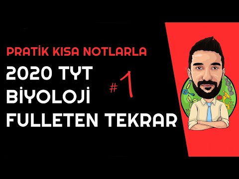 TYT BİYOLOJİ TEKRAR 1 - Pratik Kısa Notlarla