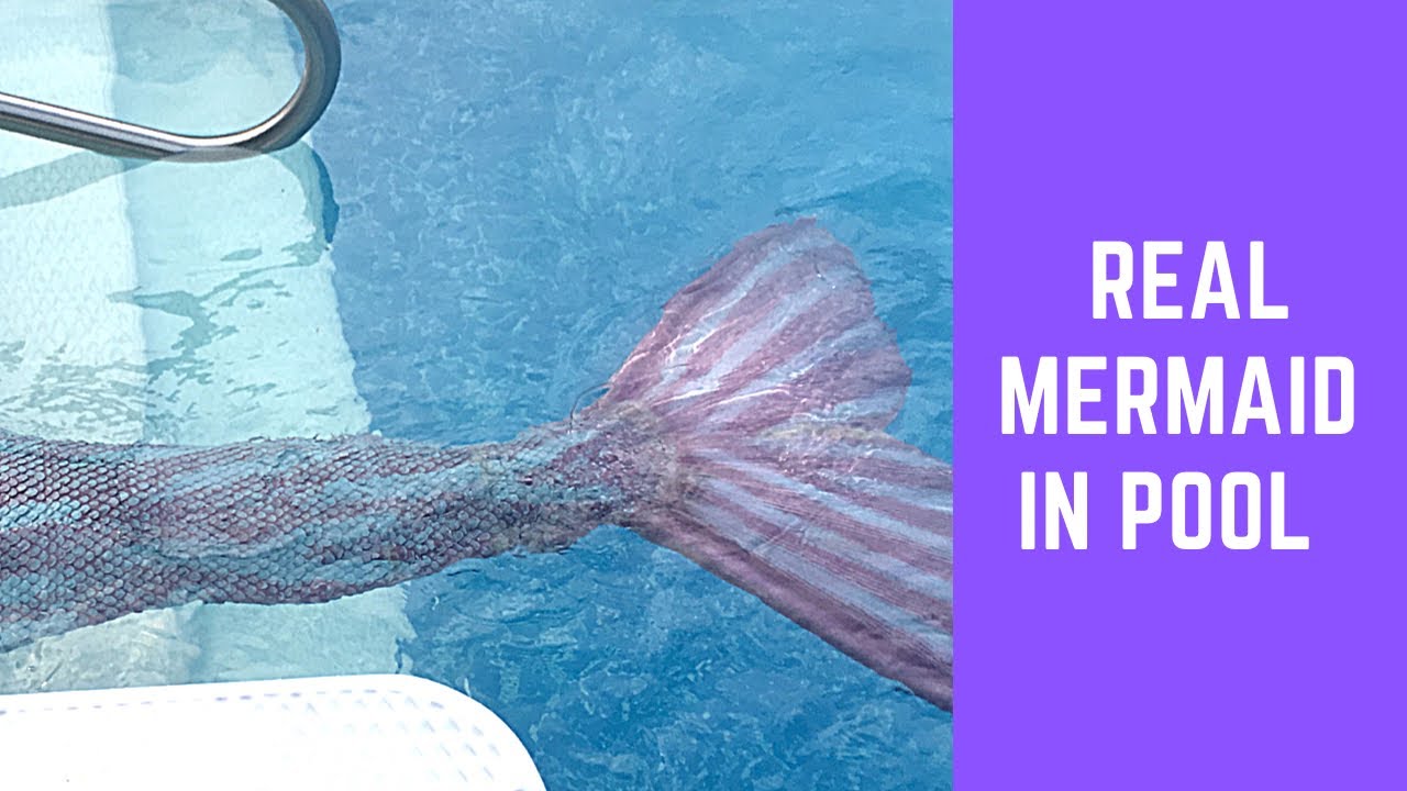 Real mermaid swimming in a pool - YouTube