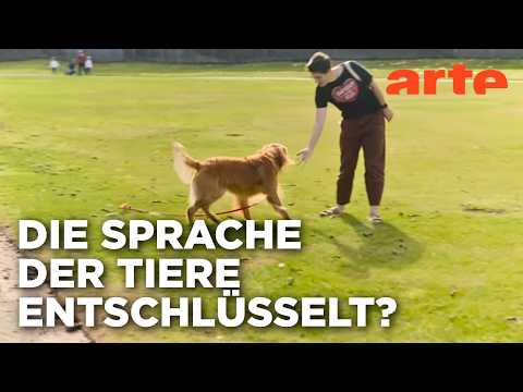 Können wir bald mit Tieren sprechen? | The Future with Hannah Fry (2/6) | ARTE