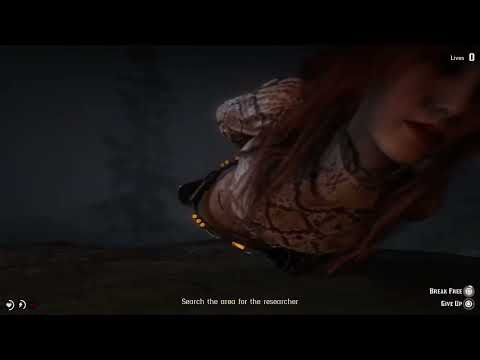 Red Dead Redemption 2 :surrendering to bounty hunters and hogtied feet 