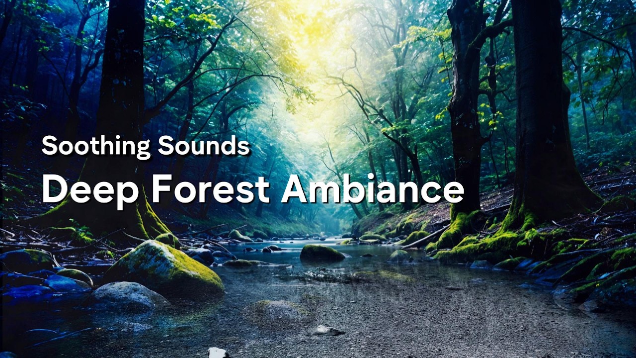 🌳 Forest Calm Ambience - The Soothing Sounds of Birds in the Trees ...