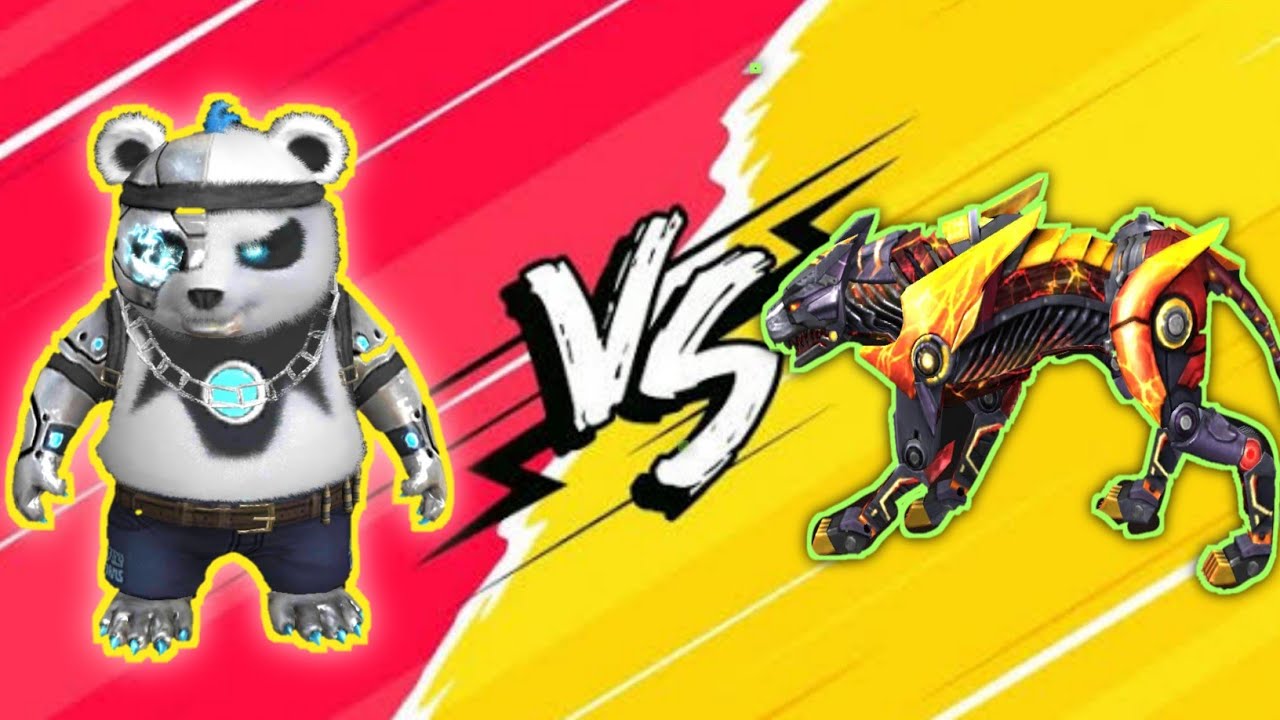 Panda VS Night panther full Fight - YouTube