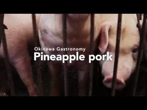 Okinawa Gastronomy -Pineapple pork-