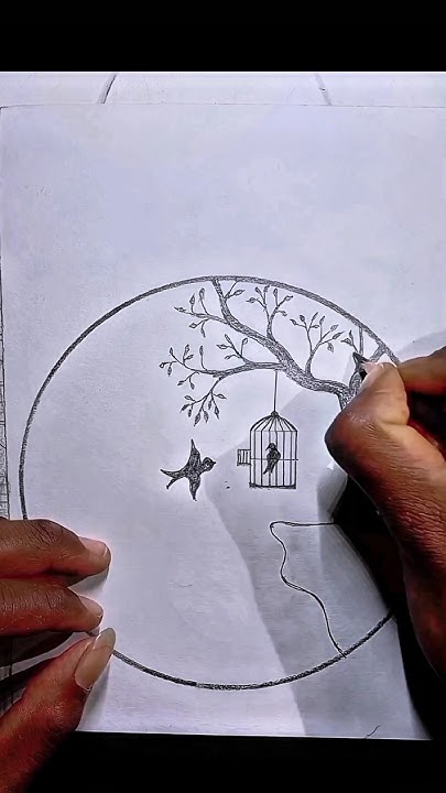 Esay circle drawing //circle drawing for designers//pencil drawing ...