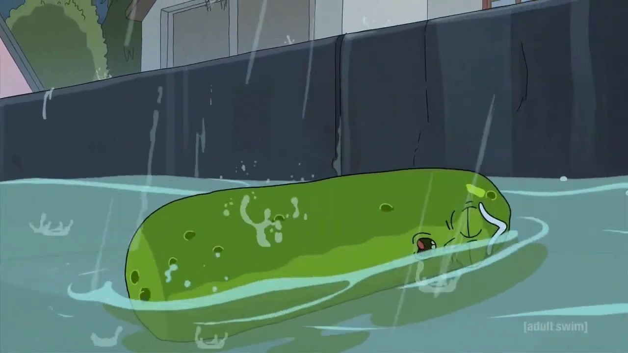RICK AND MORTY---PICKLE RICK GETS ATTACKED BY THE CAT THEN GETS WASHED ...