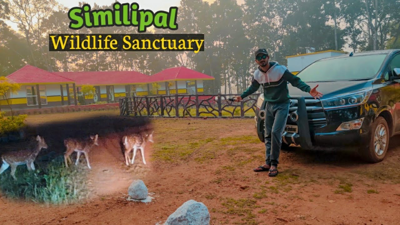 #Day-1 Jungle Safari In Similipal Wildlife sanctuary - YouTube