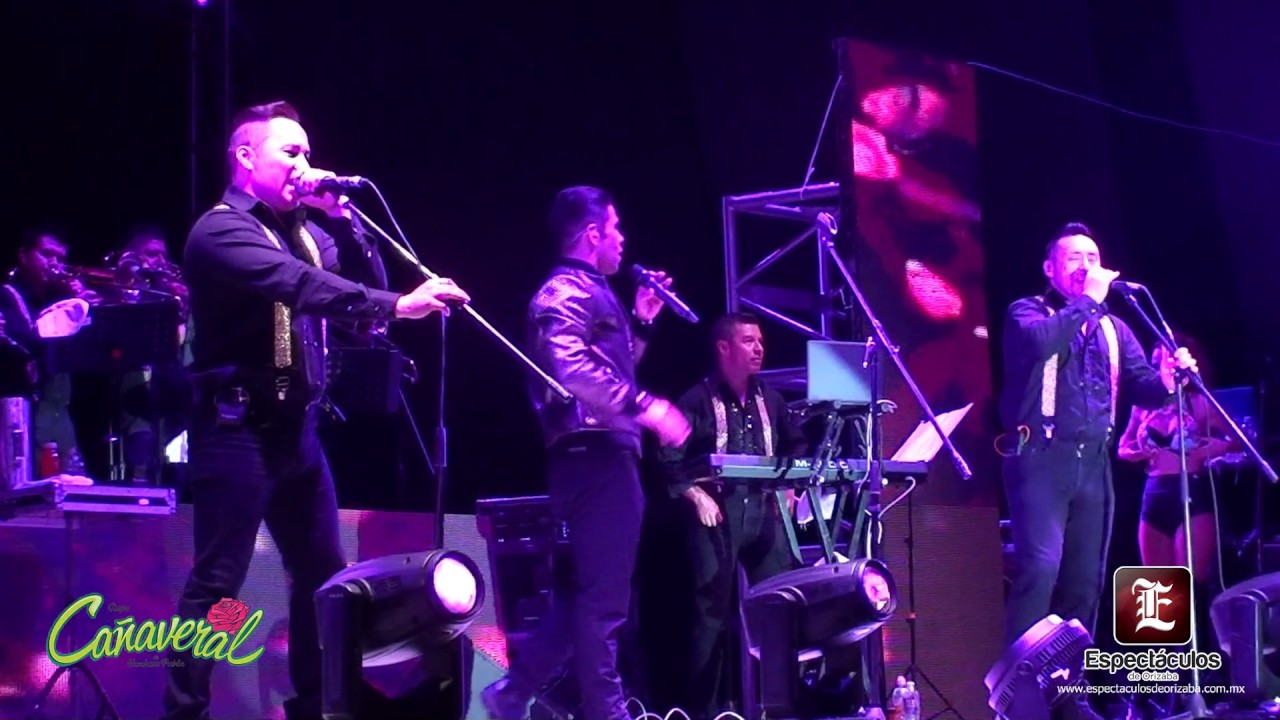 GRUPO CAÑAVERAL DE HUMBERTO PABÓN -Tiene espinas el rosal (en vivo ...