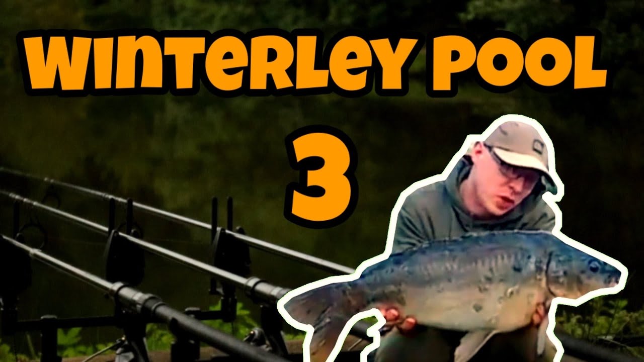 #CARP FISHING# Winterley Pool Diary Episode 3 - Specimen Lake - YouTube