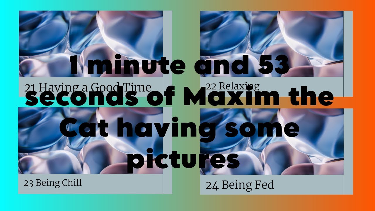 1 minute and 53 seconds of Maxim the Cat having some pictures - YouTube