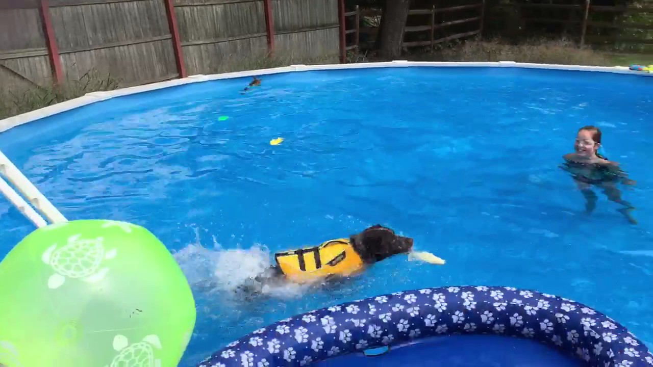 Bob swimming with Mickey - YouTube