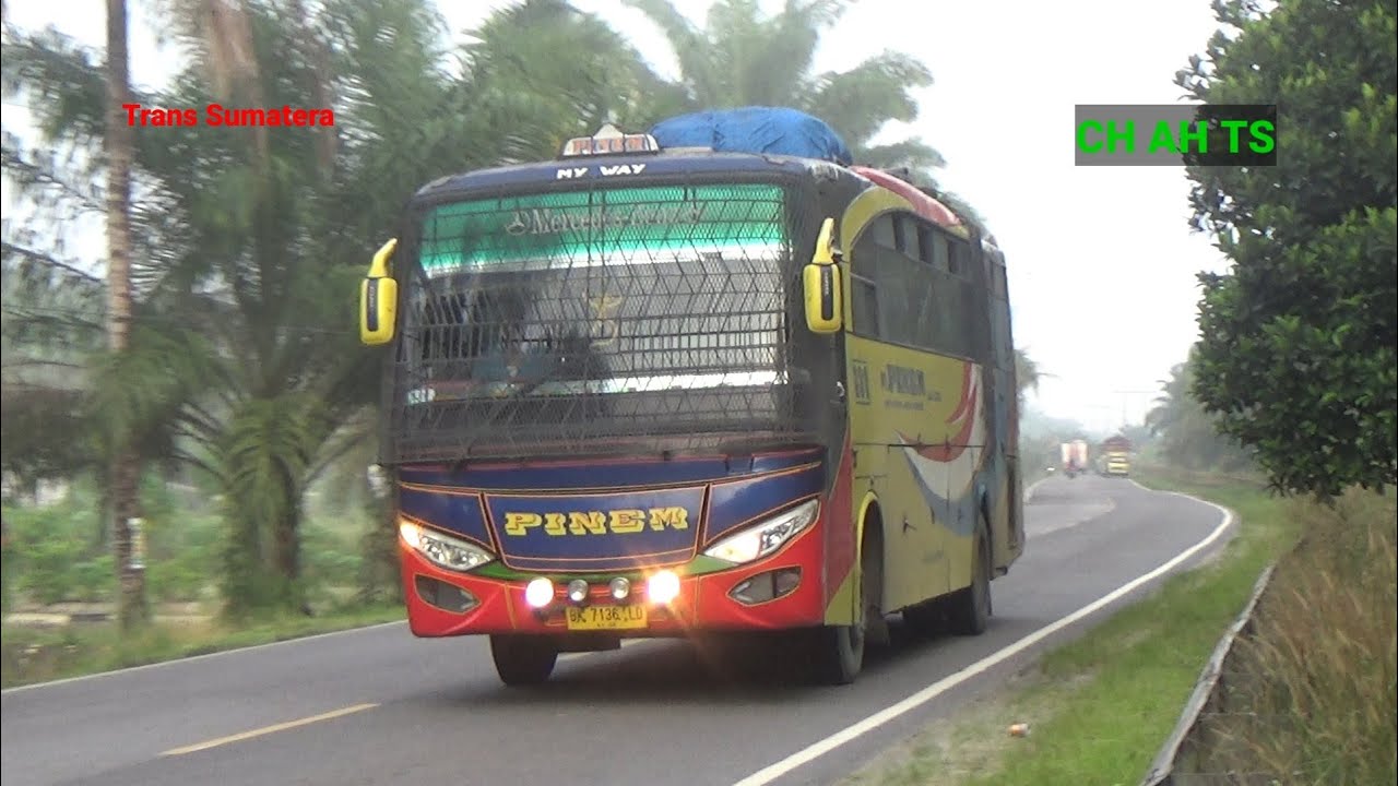 Bus Pinem no pin 237 lintas pagi hari area jalan lintas Pekanbaru Duri ...