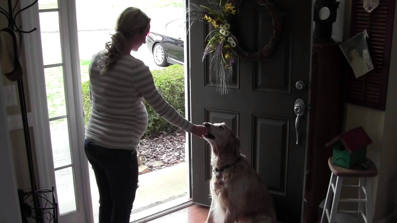 Casey Shipp Pregnancy Shoot - YouTube