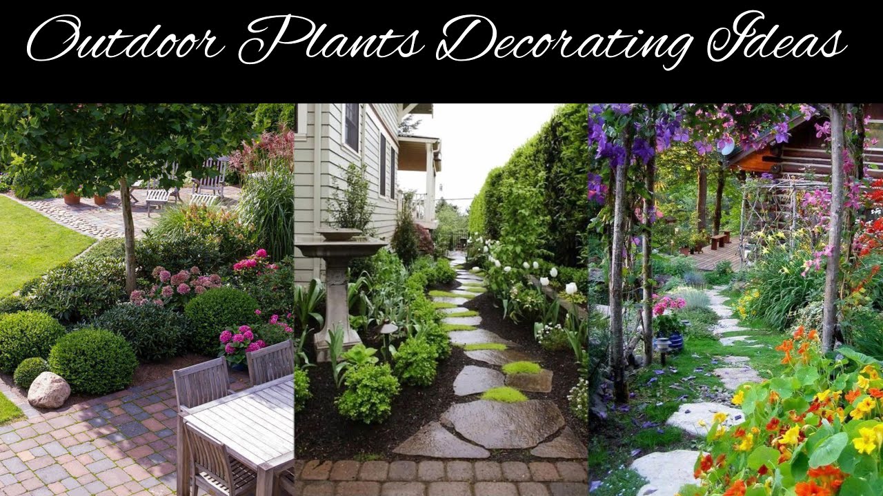 Garden Vibes 101: Simple Tips for a Stunning Outdoor Space - YouTube