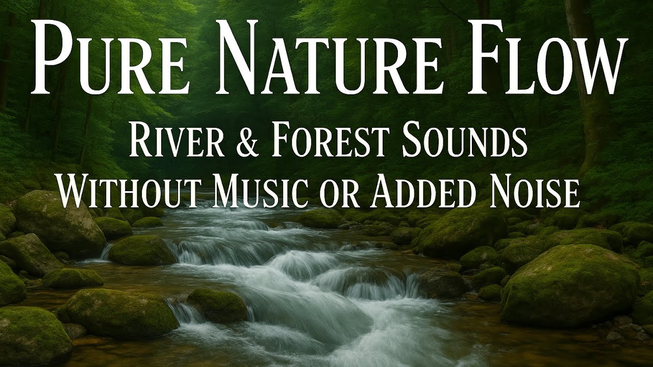 Pure Nature Flow – Real Sounds of River and Forest with No Music or ...