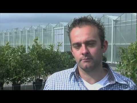 Rob Pennings: rustig verkopen loont! - YouTube