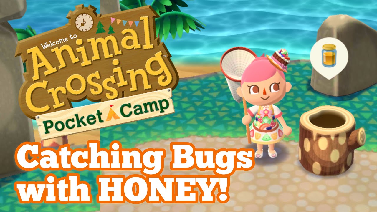 HOW TO CATCH BUGS WITH HONEY | Animal Crossing Pocket Camp - YouTube