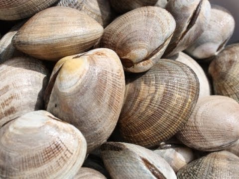 Fresh Clam Feast In Front Of The Rosarito Beach Hotel w/ Phil Friedman ...
