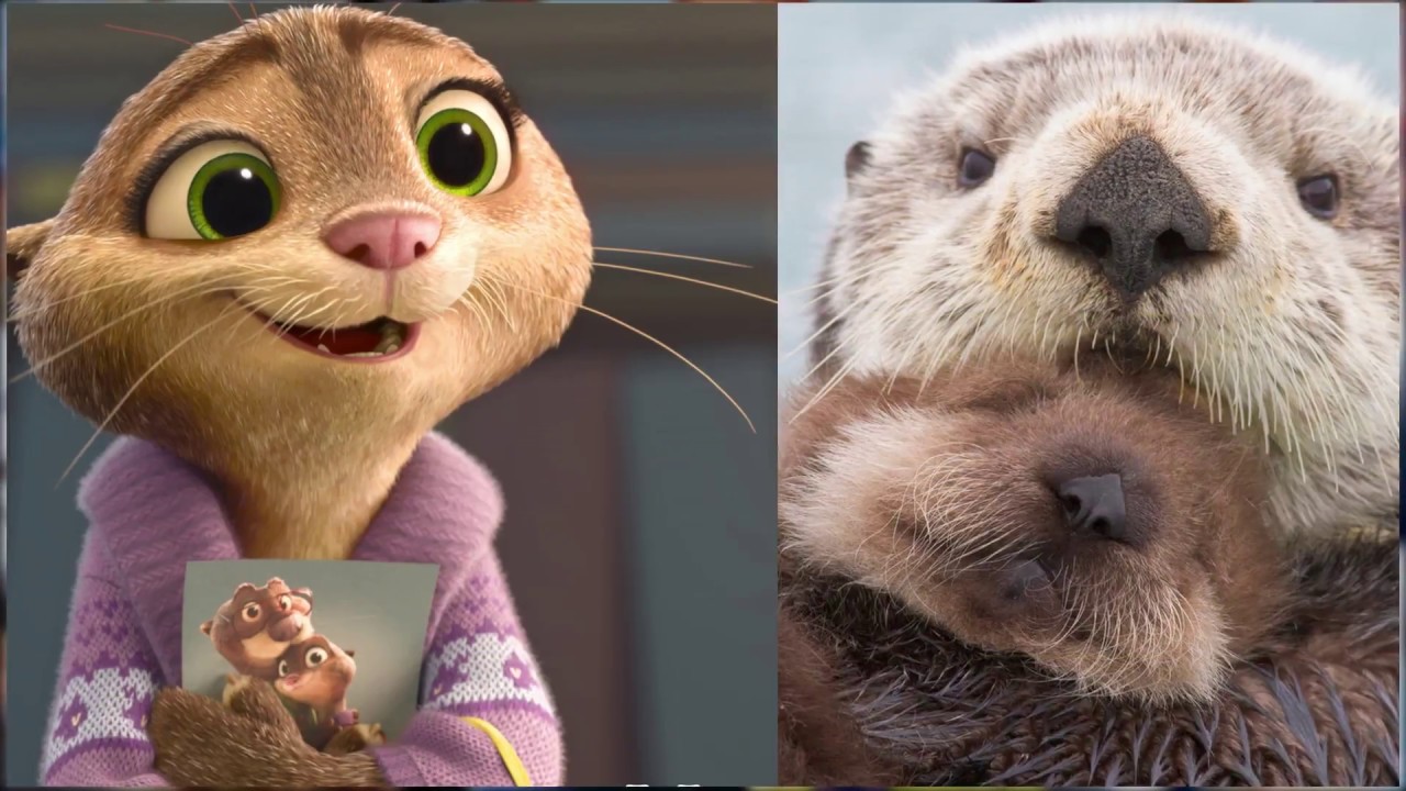 ZOOTOPIA Real Life All Characters - YouTube