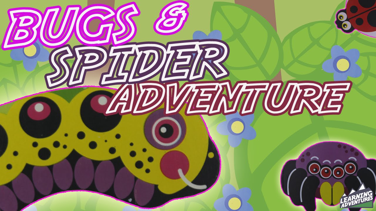 Learn Bugs and Spiders! | Children's Learning, Education, and Teaching ...