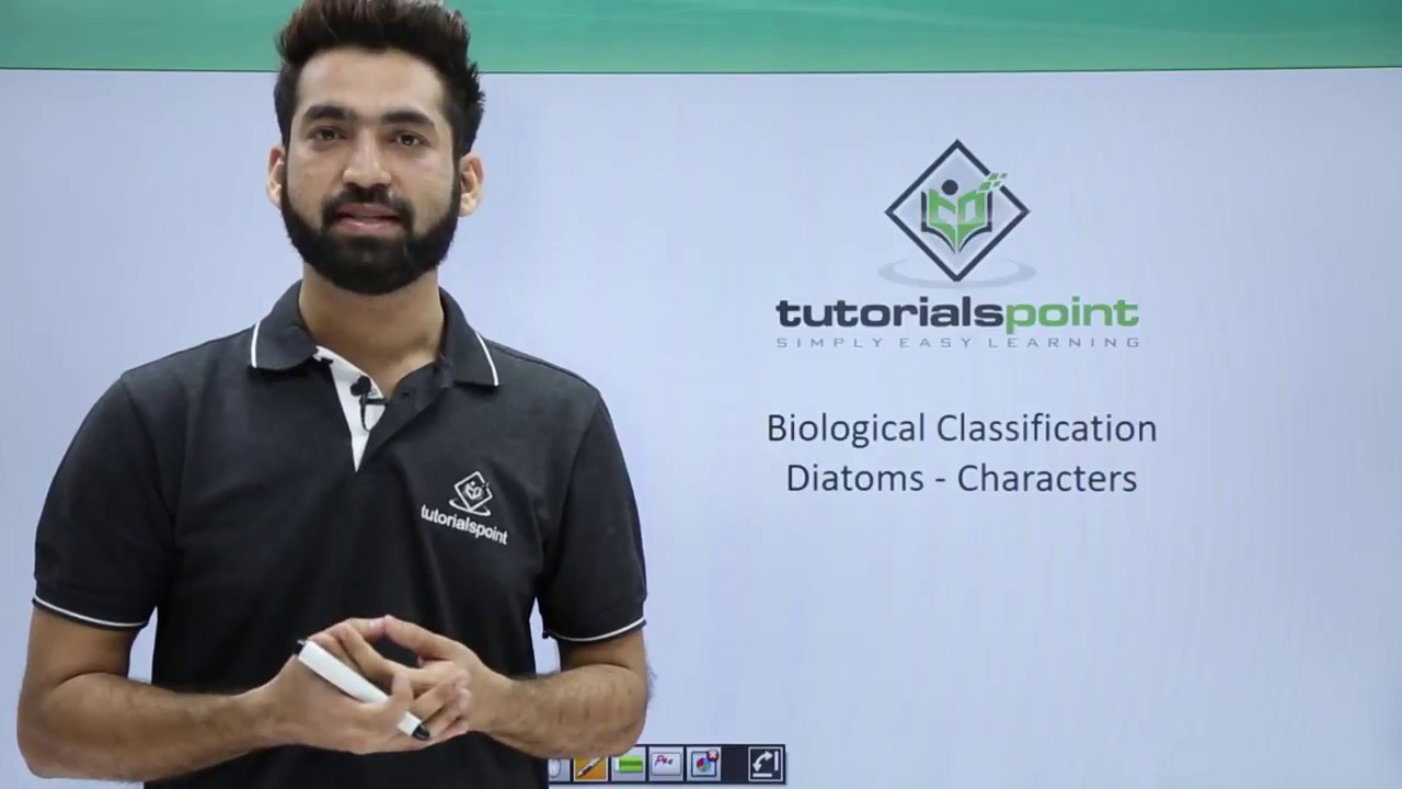 Class 11th – Kingdom Protista - Diatoms Characters | Biological ...