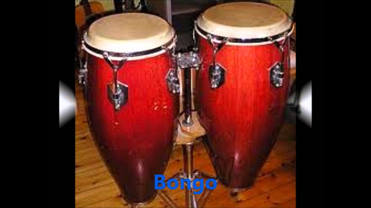 Genero Salsa(Instrumentos) - YouTube