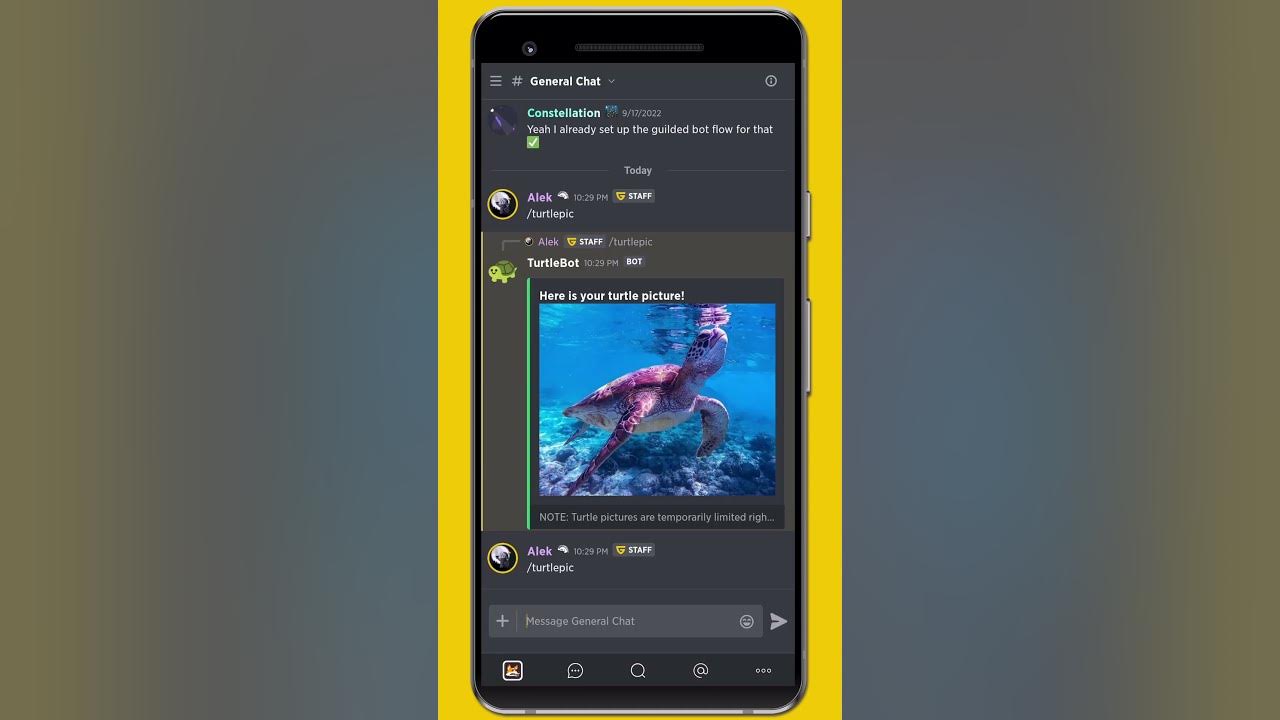 Turtle Bot | #shorts - YouTube