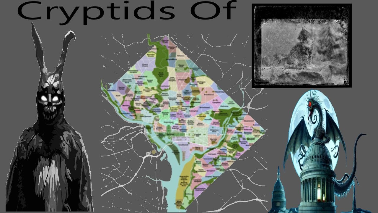Cryptids Of Washington D C - YouTube