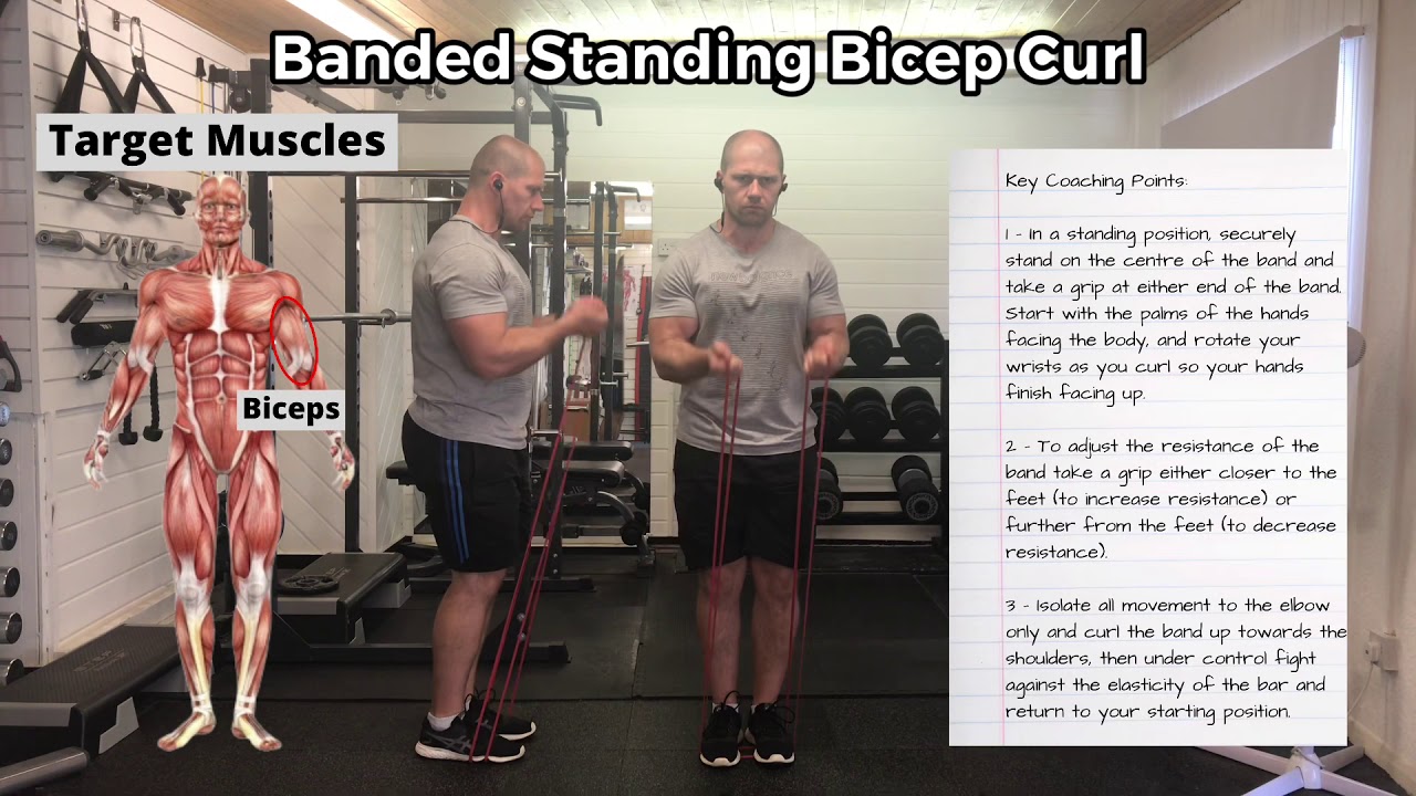 Standing Banded Bicep Curl - YouTube