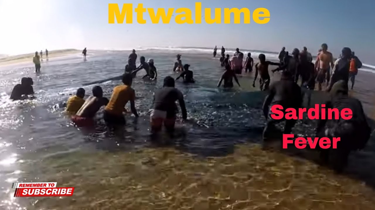 OFFROAD4LIFE , The Greatest Shoal on Earth, Mtwalume, KZN, South Africa ...