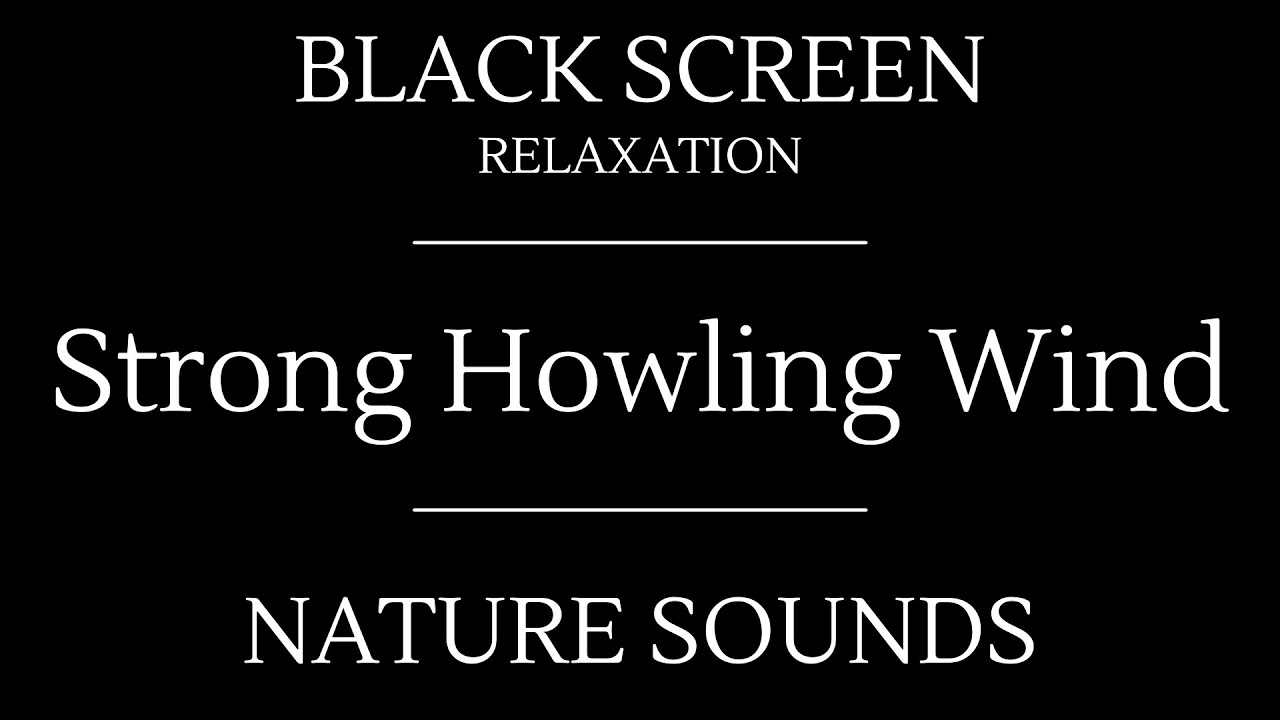 Strong Howling Wind Sound 8 Hours | Swaying Trees in The Wind ...
