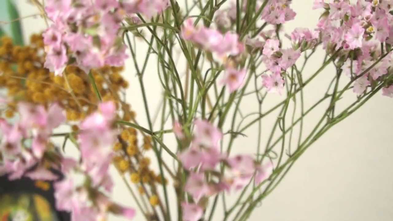 Collection "Dagoni" (at home) - YouTube
