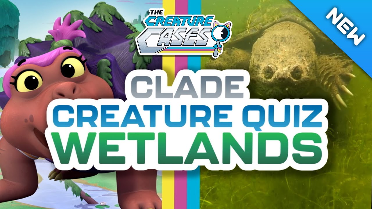 The Creature Cases - 🐊 Can You Complete Our Fun Creature Quiz? 🏆 | 💦 ...