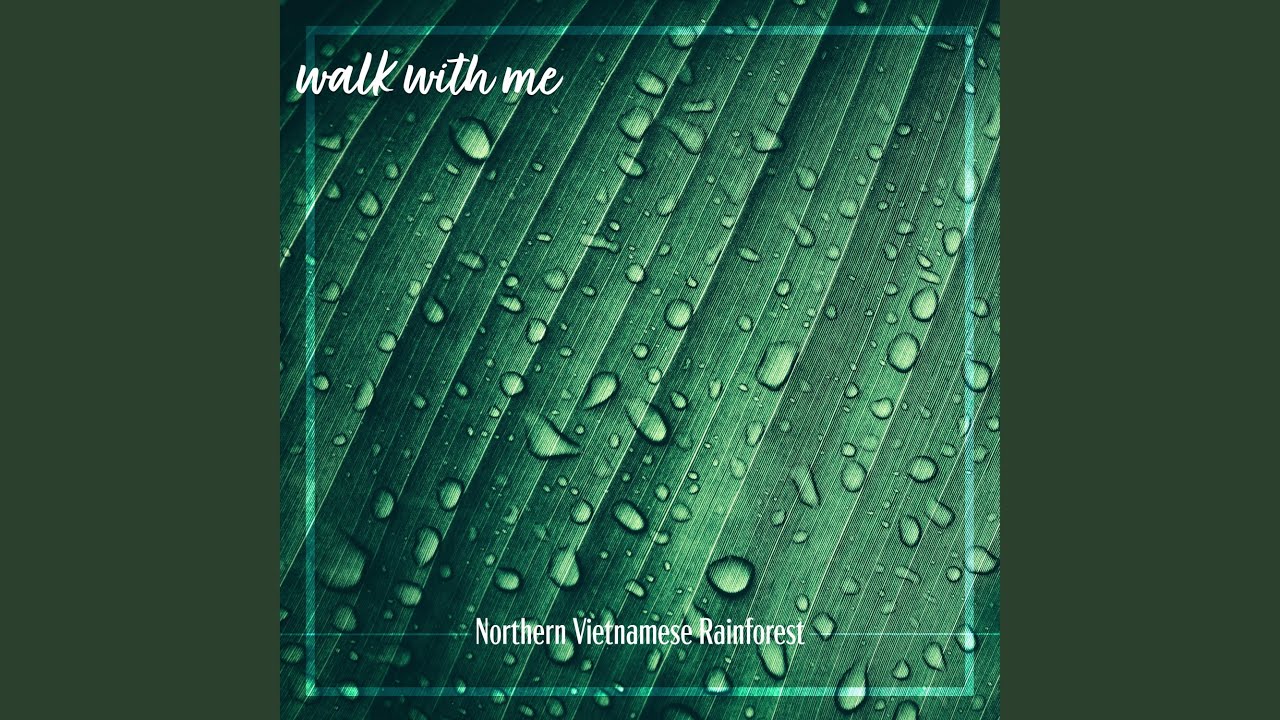 Northern Vietnamese Rainforest, Pt. 14 - YouTube