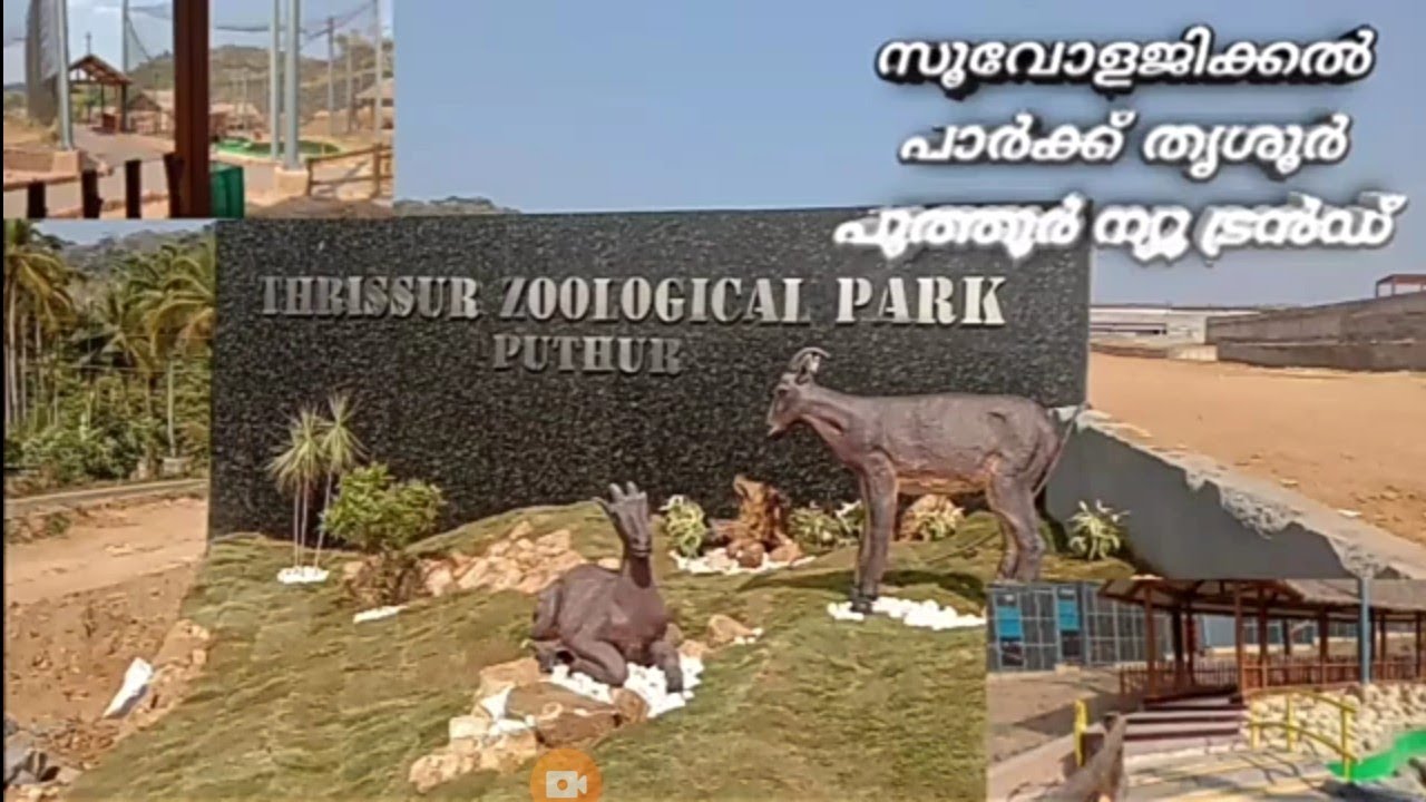 Zoological Park in Thrissur - YouTube