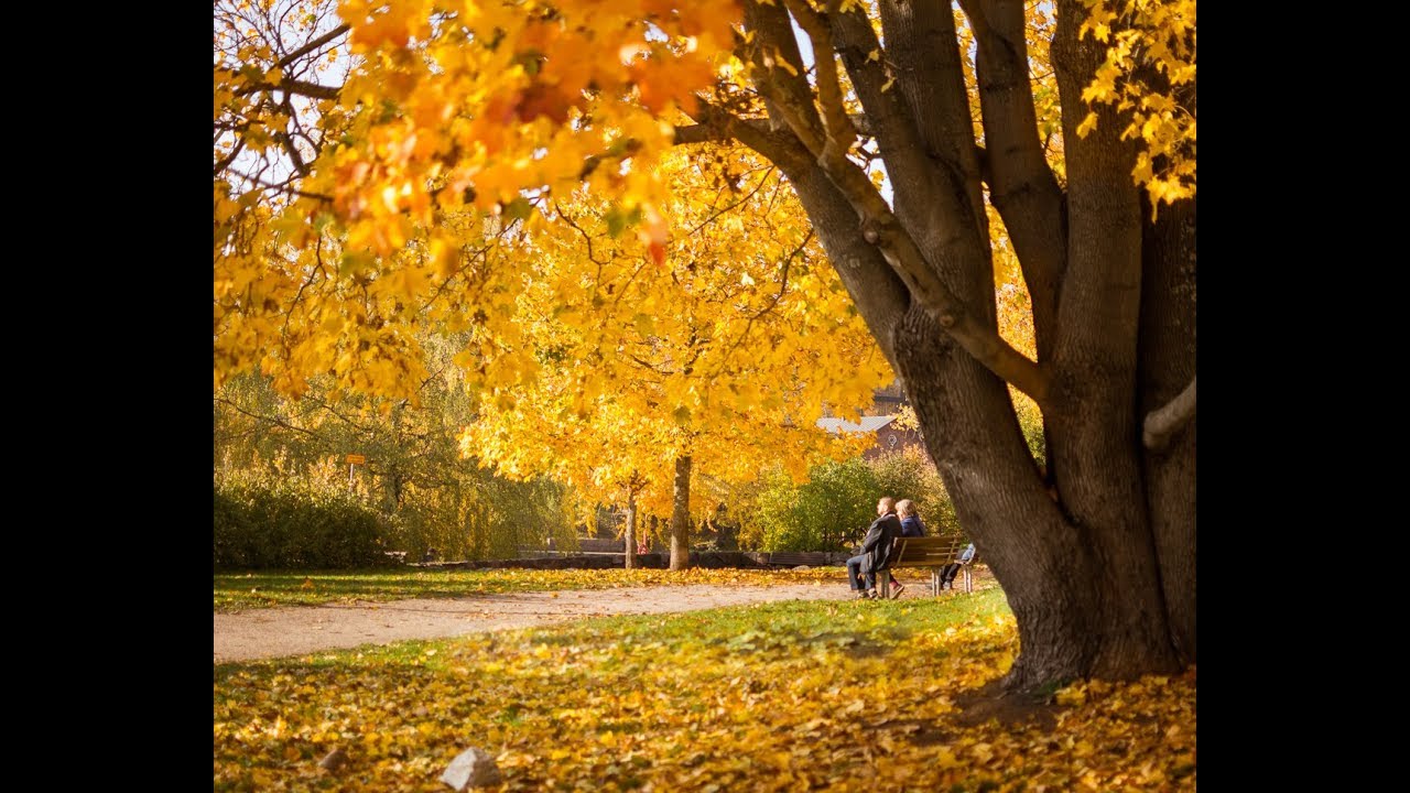 Awesome Autumn/Fall color in Helsinki, Finland 2018 - YouTube
