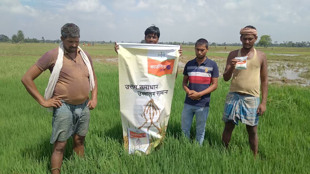 Bayer Paddy Herbicide Council Active - YouTube