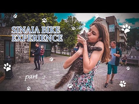 Sinaia Bike Experience - Part 2 - YouTube
