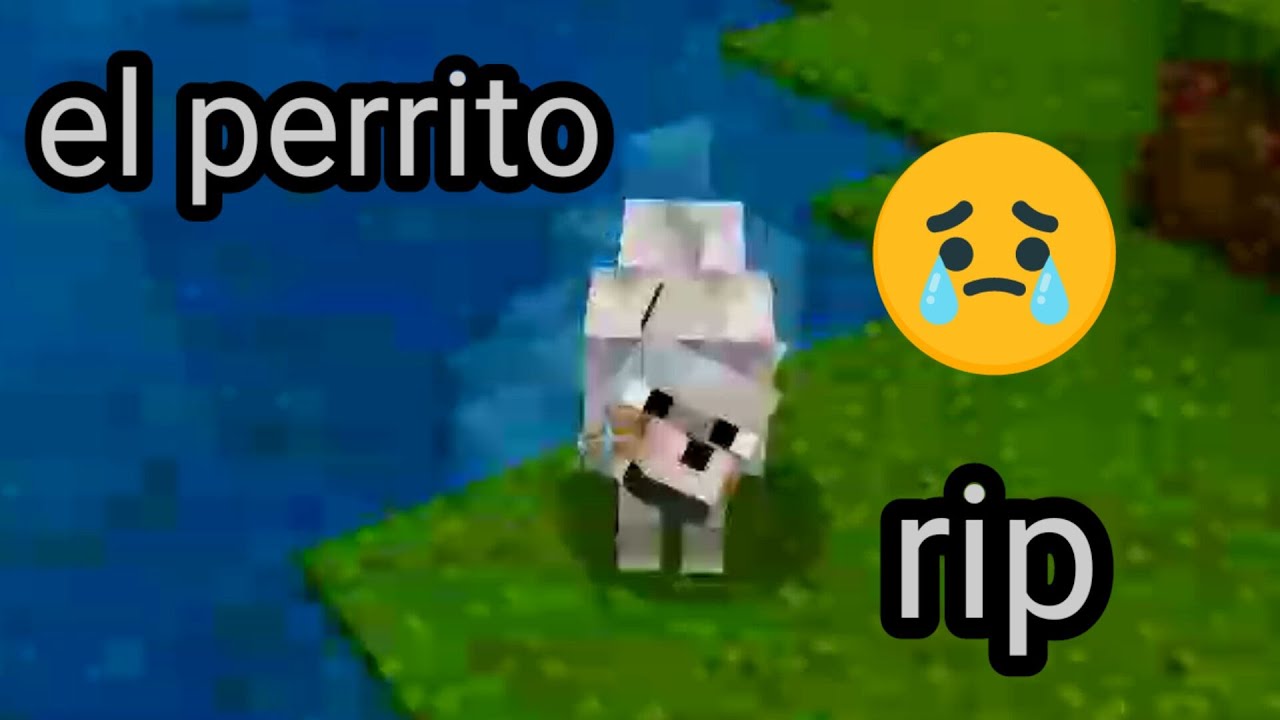 llamar2 ep3 el perrio f(mpeserie) - YouTube