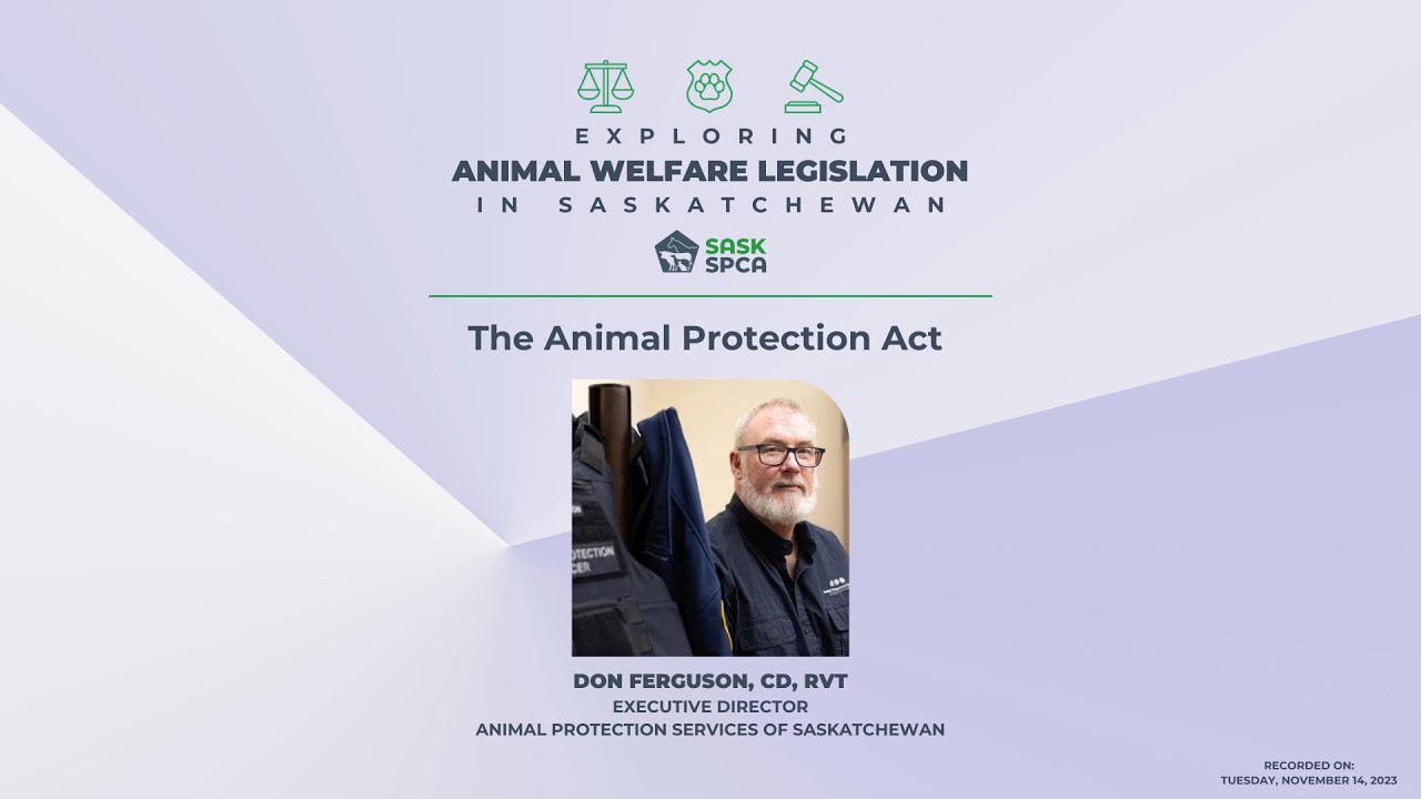 Exploring Animal Welfare Legislation in Sask: Animal Protection Act ...