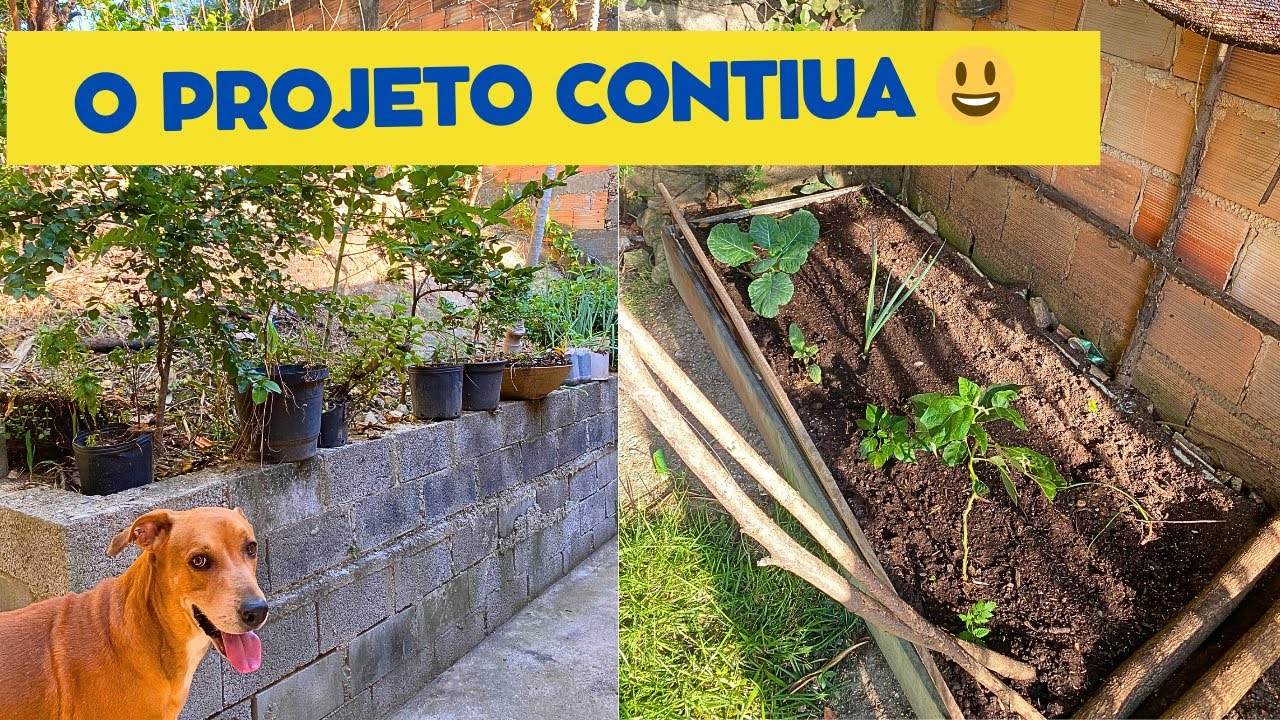MINI POMAR E MINI FAZENDA O QUINTAL ESTÁ LINDO! - YouTube