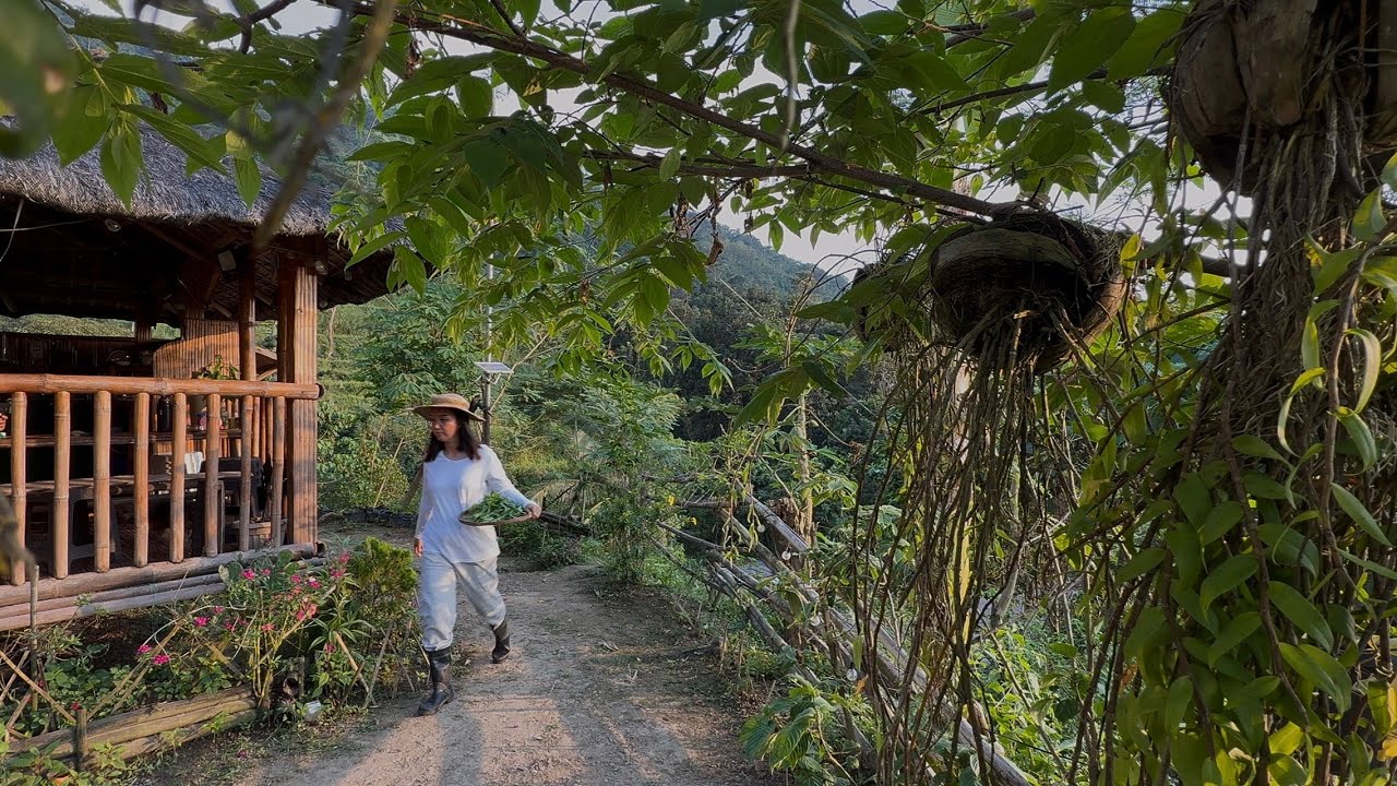 A simple mountain life, Planting Vegetables, Cook ultimate Filipino ...