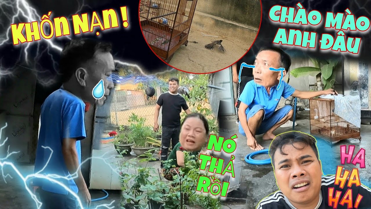 Báo Nhà Vợ P1|| Thiết Khmer Troll Thả Chim Chào Mào Cực Hiếm Của Ba Vợ ...