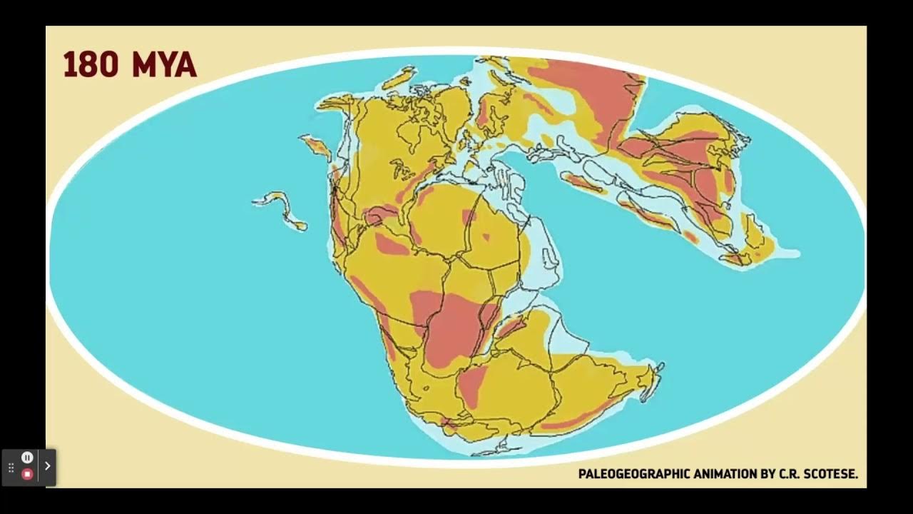 Plate Tectonics Chart Fossil Evidence - YouTube
