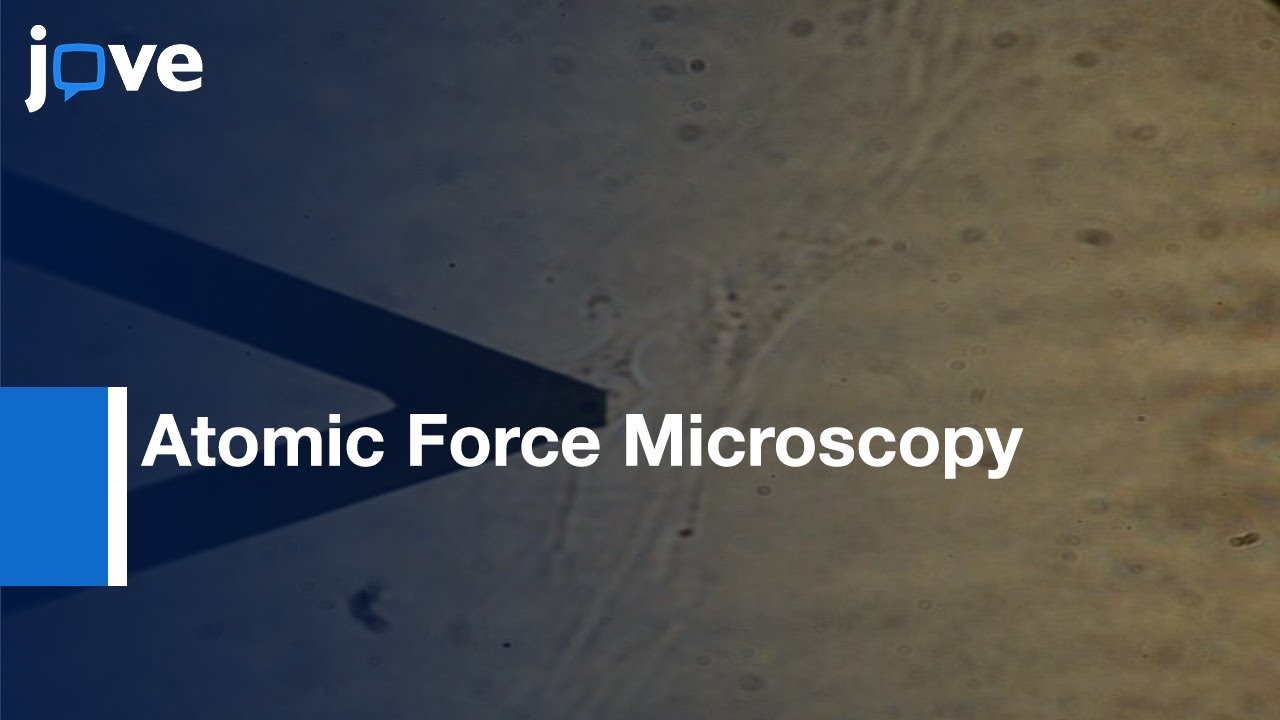 Mechanical Properties Of Living Cells Using Atomic Force Microscopy l ...