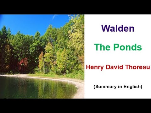 Walden - The Ponds - Henry David Thoreau (English Summary)#walden# ...