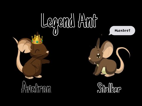 Ant hack Stalker //Module Batata// Transformice - YouTube