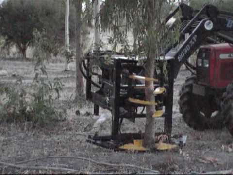 Gripper Snipper - Tree Thinning Mechanical Harvester - YouTube