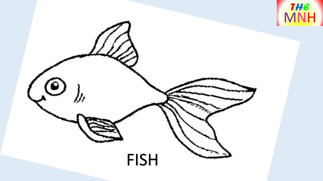 HOW TO DRAW FISH FOR KIDS EASY STEP BY STEP - YouTube